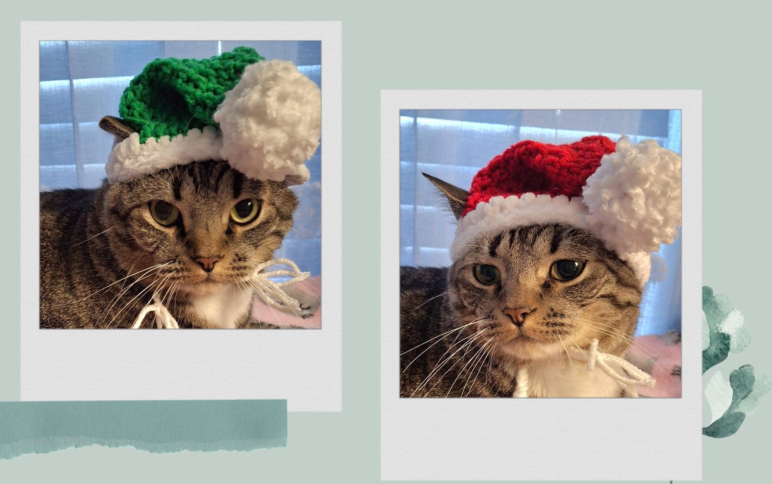 Adorable Santa Cat Hat in Green or Red - Christmas Pet Accessory for ...
