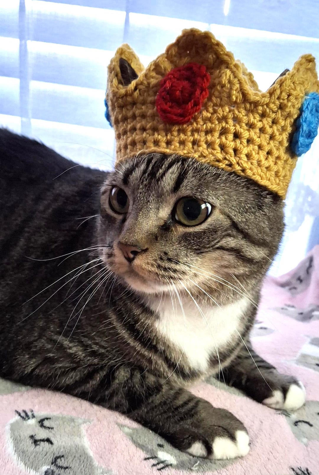 Crochet Cat Crown: Custom Pet Tiara, Halloween Costume - Etsy