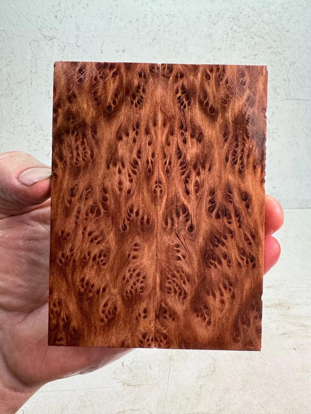 Stabilized Block Redwood Lace Burl - Knife Scales - Etsy