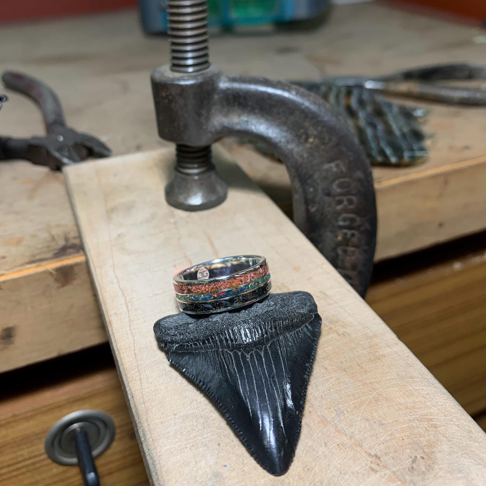 FOSSIL RING: Brontosaurus Dinosaur Bone, Megalodon Tooth, Fire Opal ...