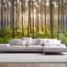 Forest Trees Mural, Nature Forest Mural, Forest Wallpaper ...