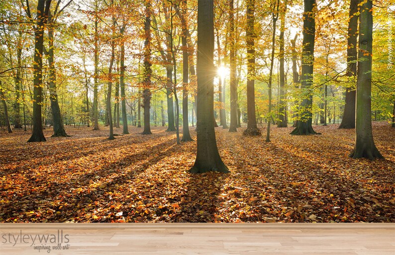 Forest Mural Wallpaper Trees Mural Nature Wall Art Nature - Etsy