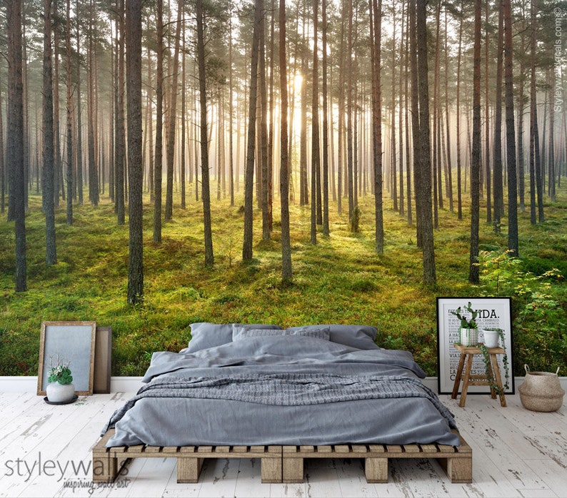 Forest Trees Mural, Nature Forest Mural, Forest Wallpaper ...