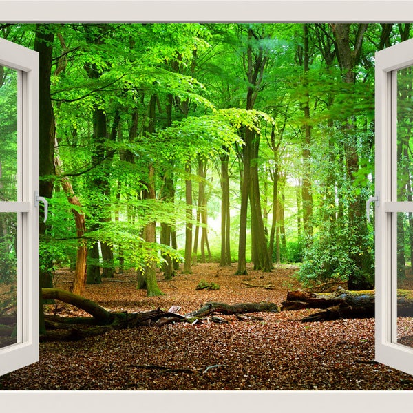 3d Window Wall Decal - Etsy