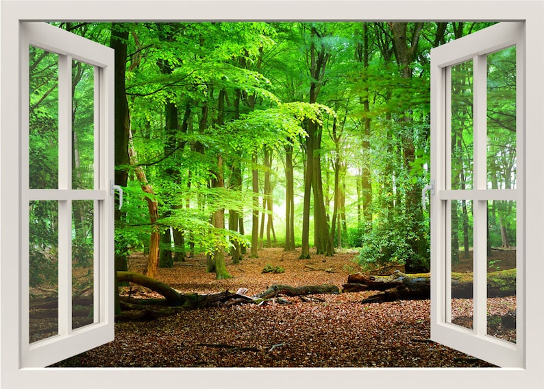 Forest Wall Decal 3d Window Wall Decal Window Frame Nature - Etsy