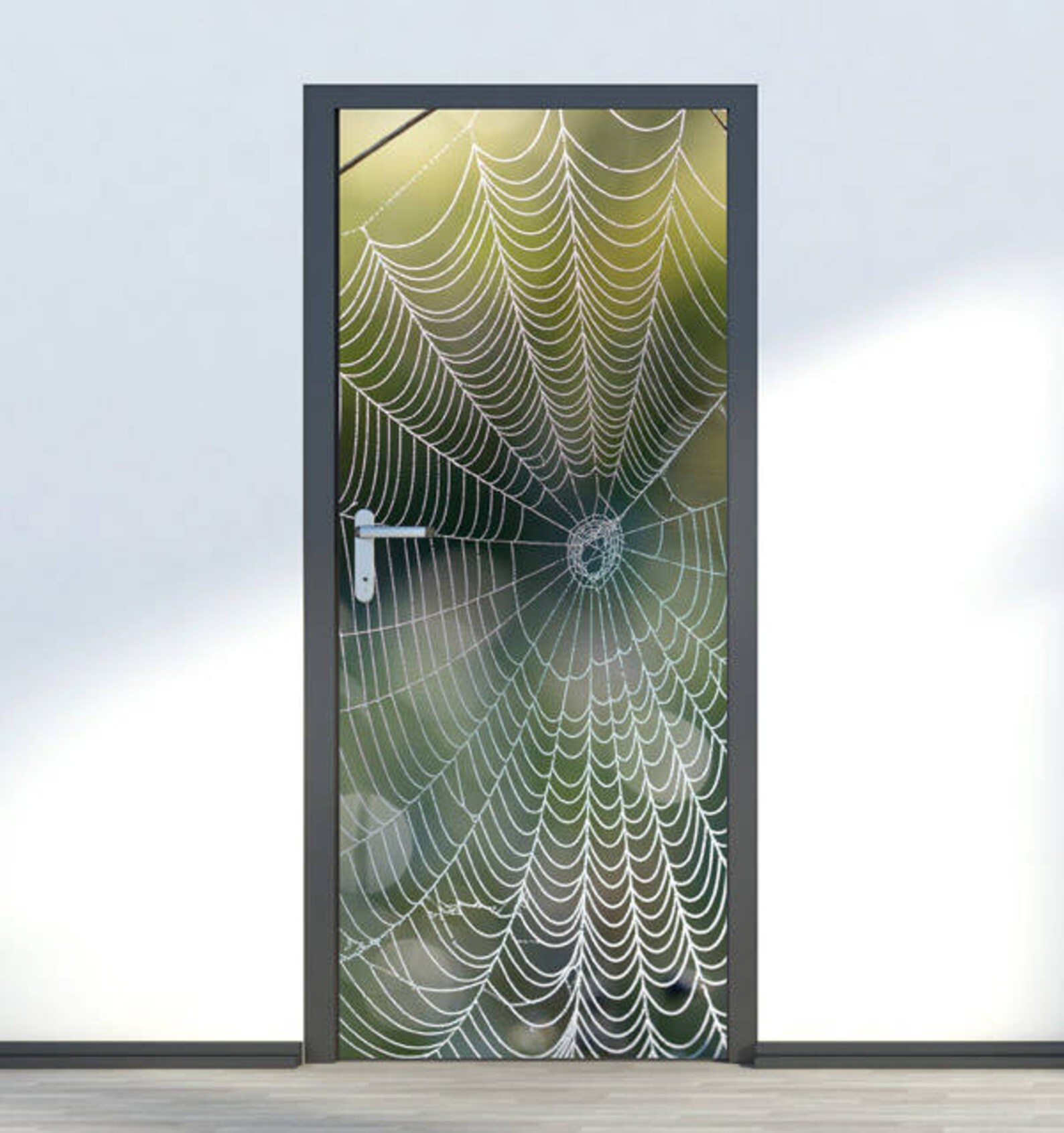 Spider Web Door Sticker, Nature Door Wallpaper, Door Mural, Spider Web ...