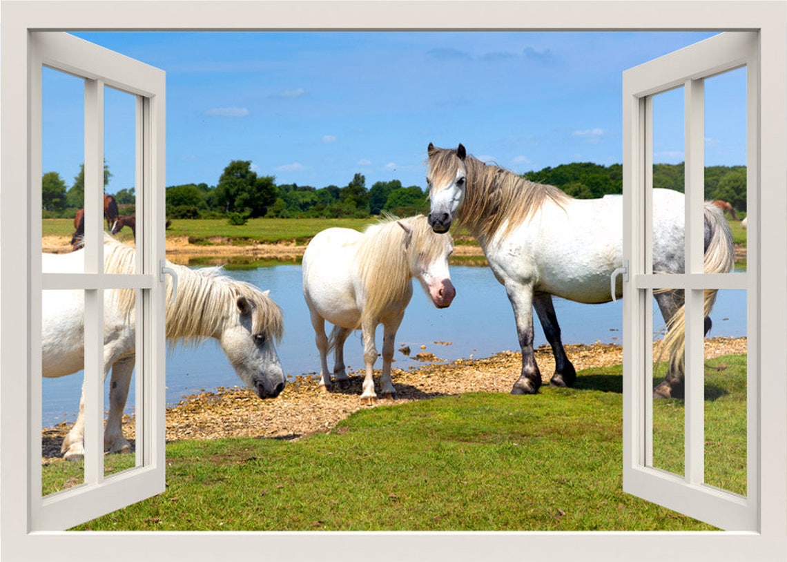 Horses Wall Decal, 3d Window Wall Decal, Window Frame, Window View Wall ...