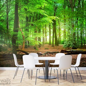 Green Forest Mural Wallpaper, Trees Mural, Nature Wall Art Mural ...