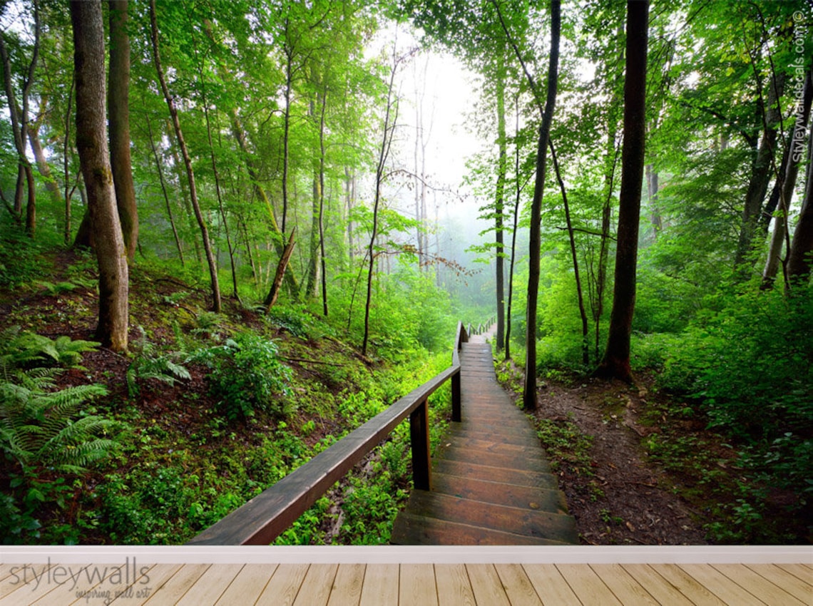 Forest Mural Wallpaper, Trees Mural, Nature Mural Wallpaper ...