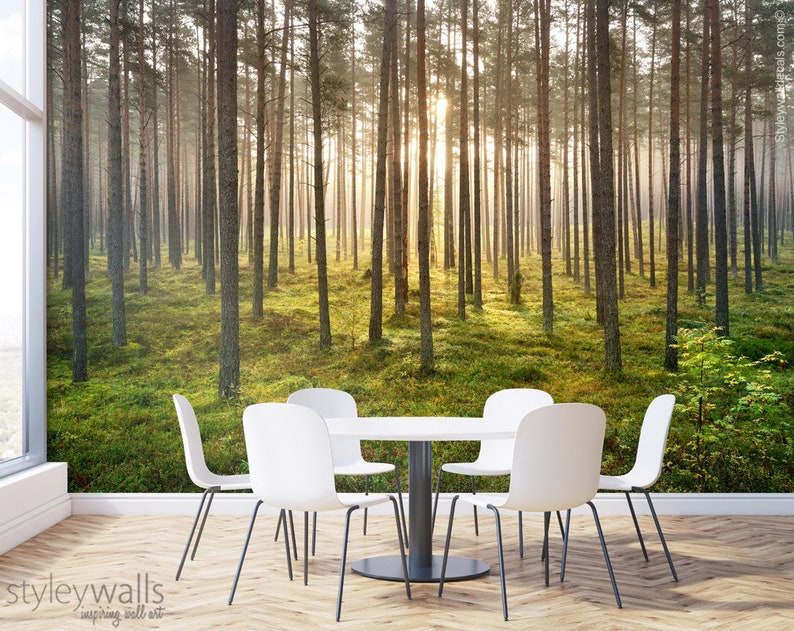 Forest Trees Mural, Nature Forest Mural, Forest Wallpaper ...