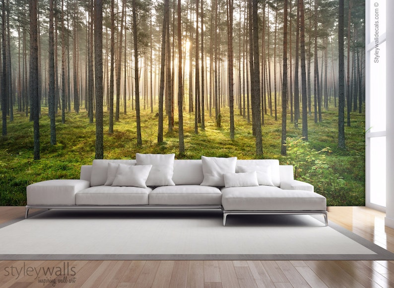 Forest Trees Mural, Nature Forest Mural, Forest Wallpaper ...