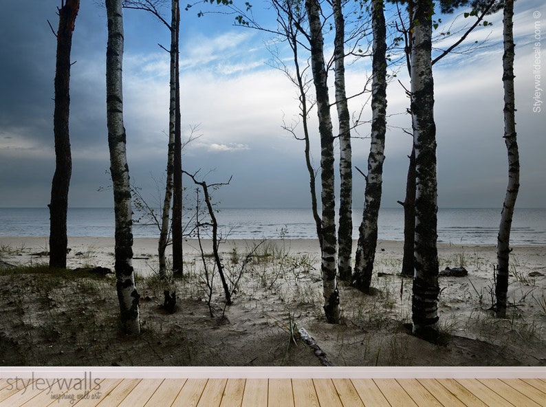 Trees Mural Wallpaper Beach Mural Nature Wall Art Sunset - Etsy