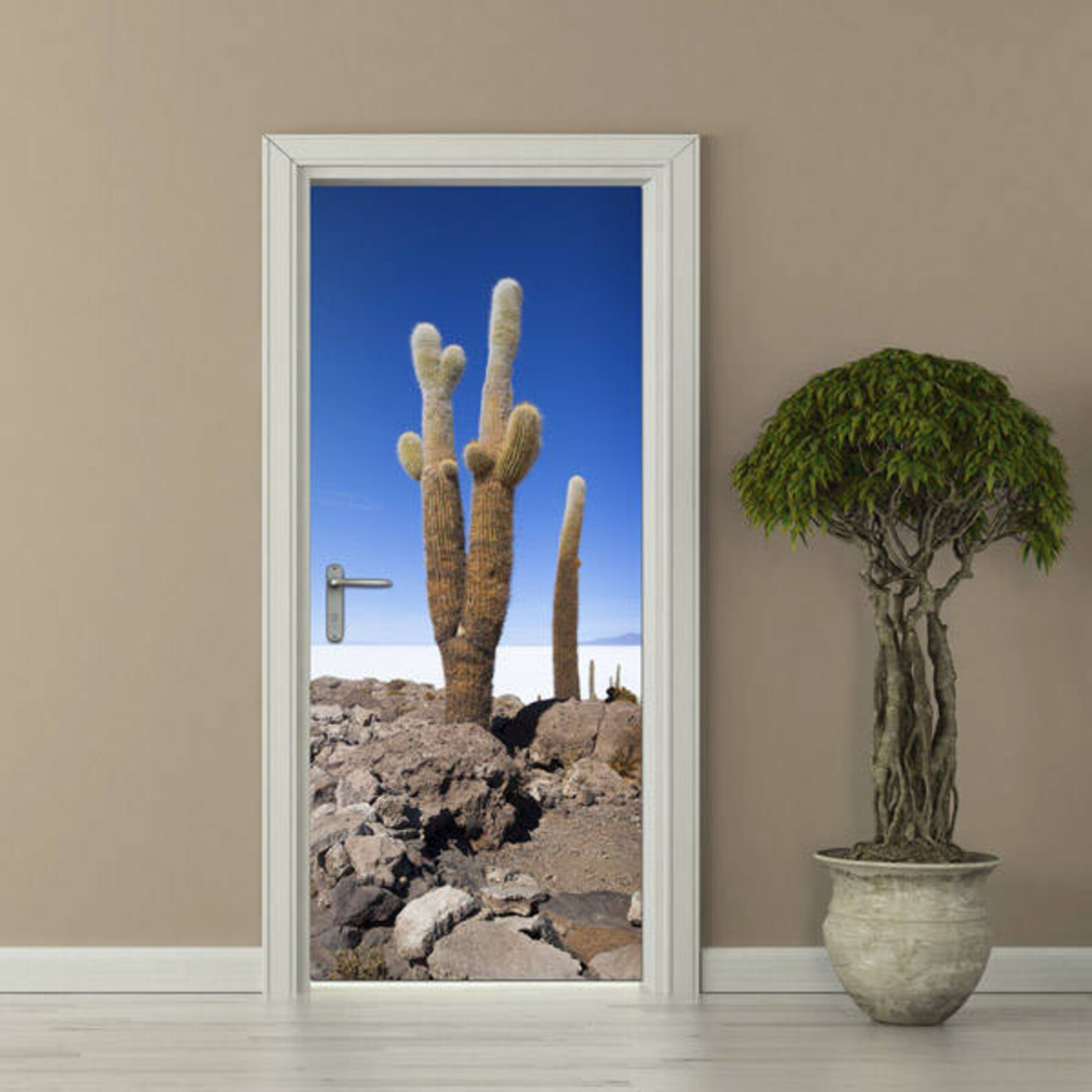 Cactus Door Sticker, Door Wallpaper, Door Mural, Cactus Nature Wall Art ...