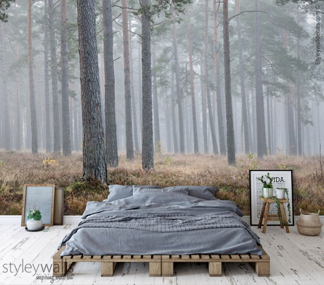 Forest Trees Mural, Birchtrees Mural, Pine Trees Mist Mural Wallpaper ...