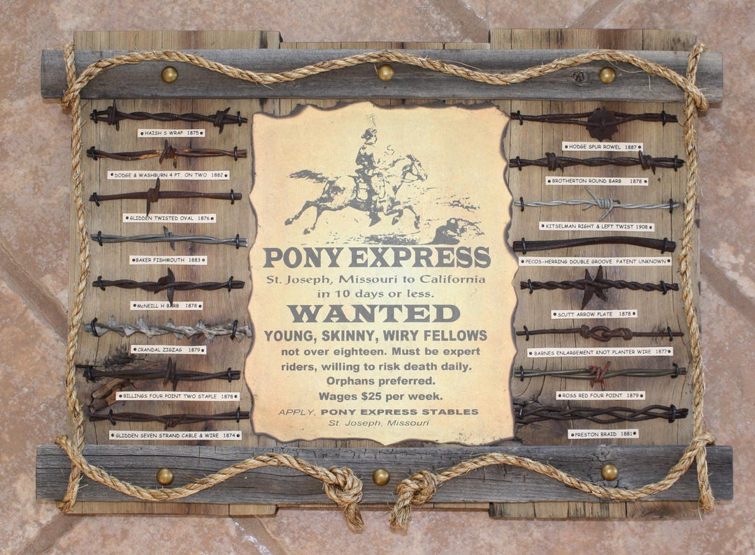 Antique Barbed Wire Display Art Collection 16 Samples Cowboy Western ...