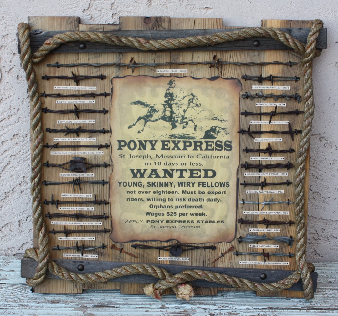 Antique Barbed Wire Display Art Collection 24 Samples Cowboy - Etsy