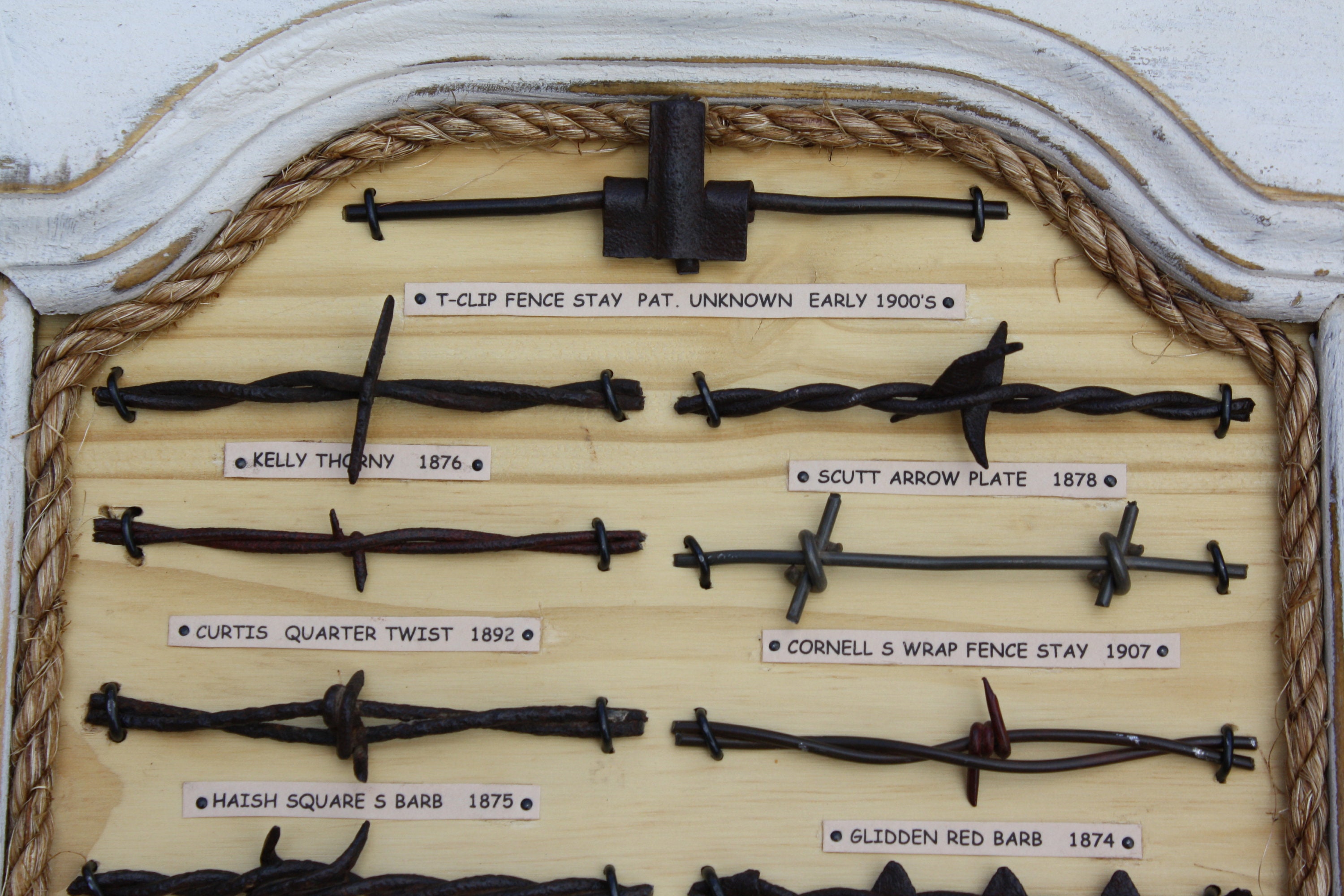 Antique Barbed Wire Display Authentic Barb wire Collection 24 | Etsy