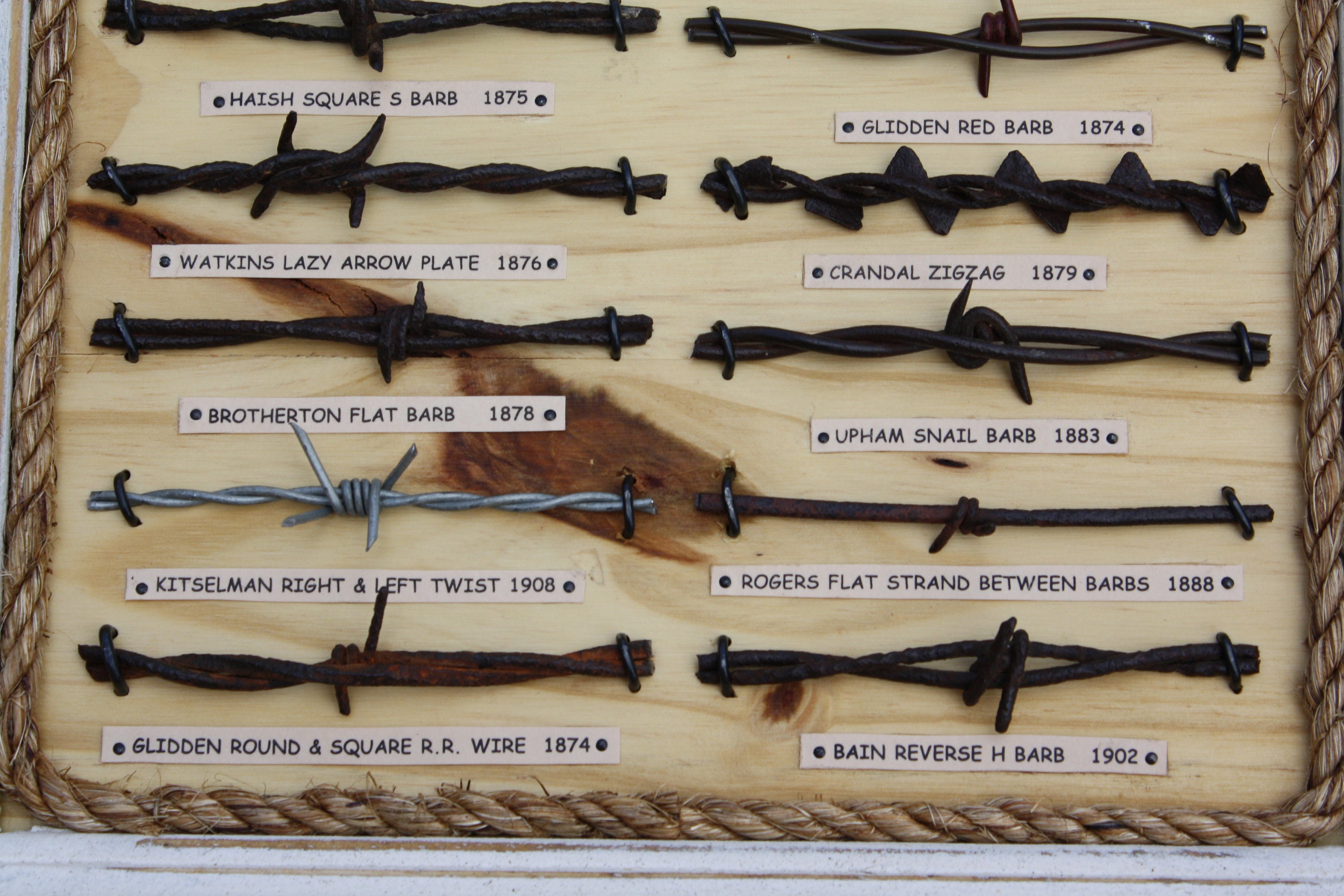 Antique Barbed Wire Display Authentic Barb wire Collection 24 | Etsy