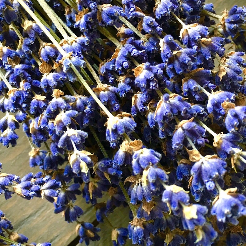 Purple Bouquet Brides Maids - Etsy