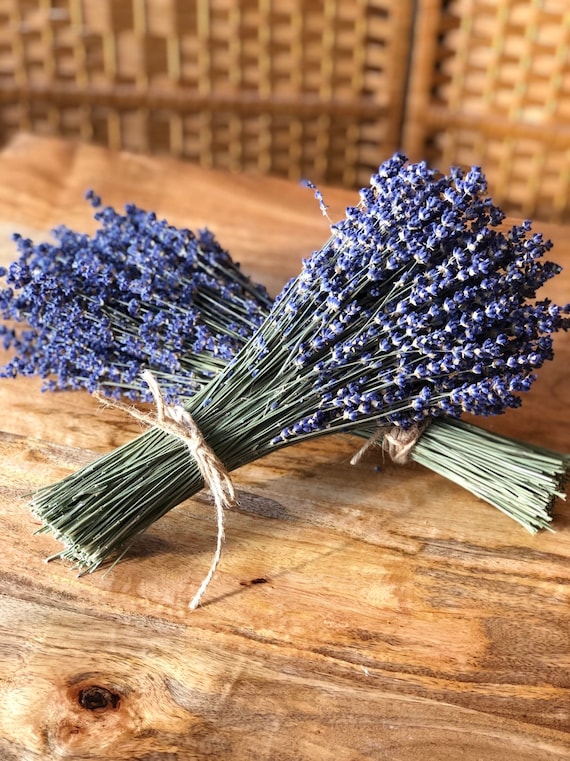 English Lavender Bouquet