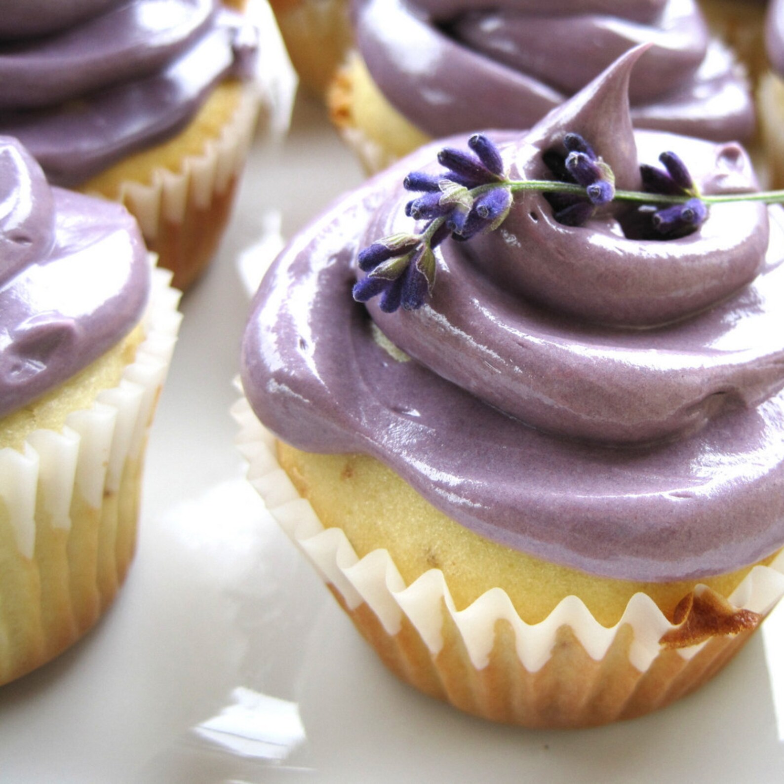 Culinary Lavender Flowers: Edible Dried Herbs for Cooking & Baking - Etsy