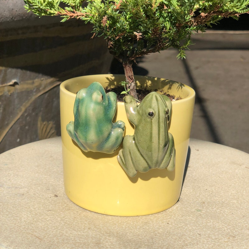 Frog Home Decor - Etsy