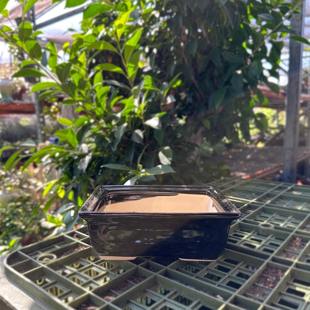 6" Glazed Ceramic Rectangular Bonsai Pot - Etsy
