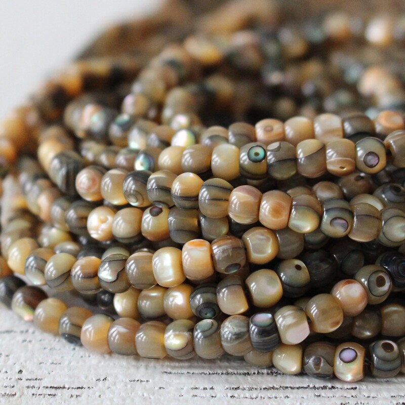 Shell Beads - Etsy