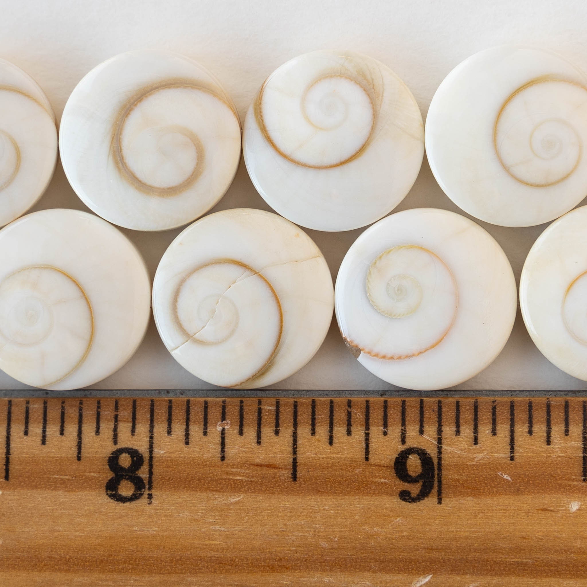 16mm Spiral Shell Coins - Sea Shell Beads for Jewelry Making - 6 Beads ...