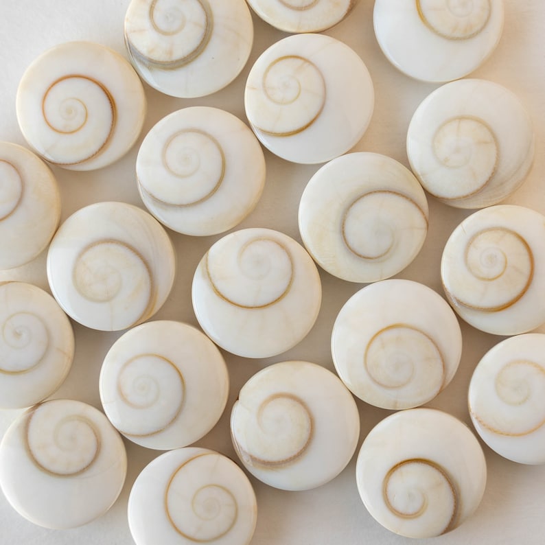 16mm Spiral Shell Coins - Sea Shell Beads for Jewelry Making - 6 Beads ...