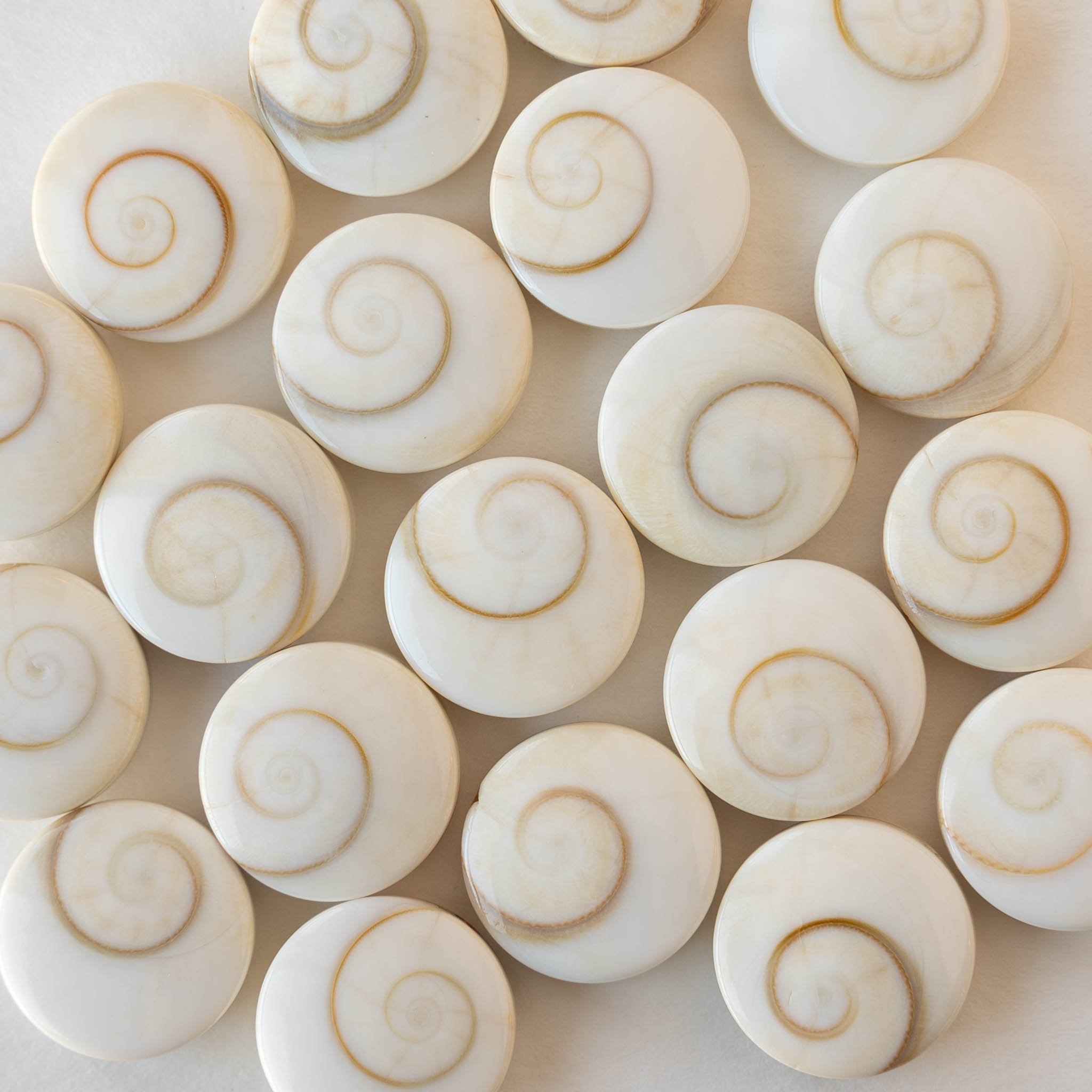 16mm Spiral Shell Coins - Sea Shell Beads for Jewelry Making - 6 Beads ...