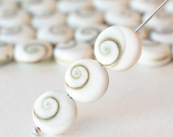 10mm Spiral Shiva Shell Coin Bead - Sea Shell Beads for Jewelry Making ...