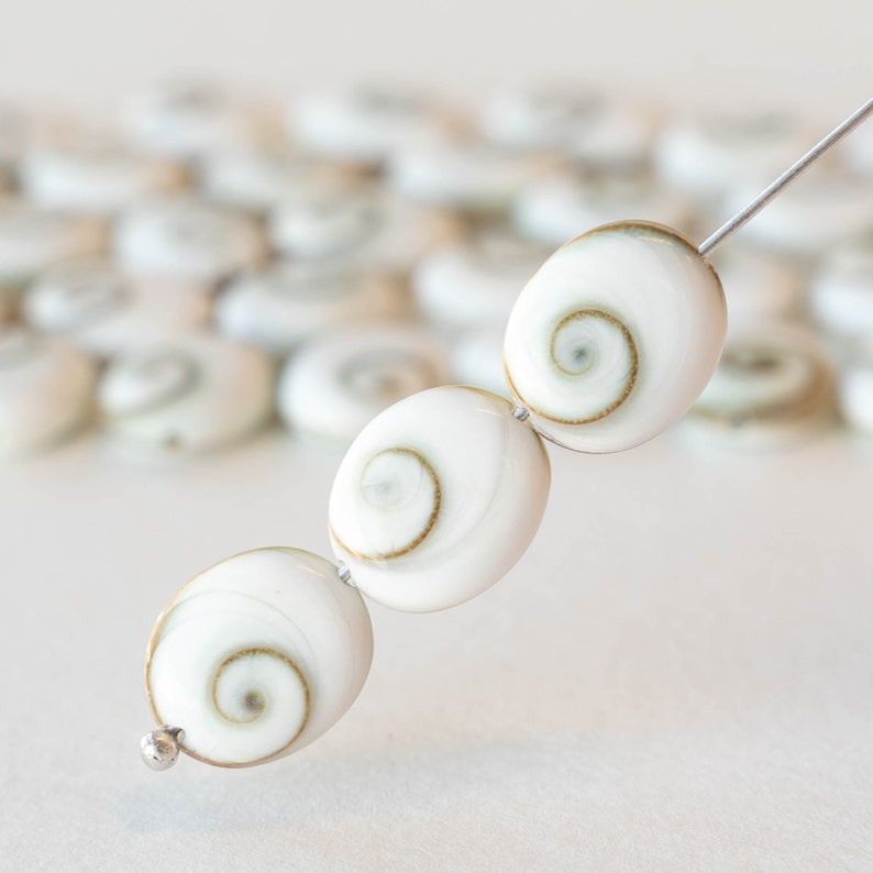 Spiral Shell Oval - Sea Shell Beads for Jewelry Making - 10 Beads - Etsy