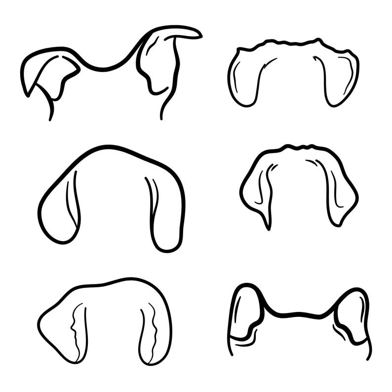 Dog Breed Ears SVG | Hand Drawn | Dog Ears Outline Bundle | Svg Clipart ...
