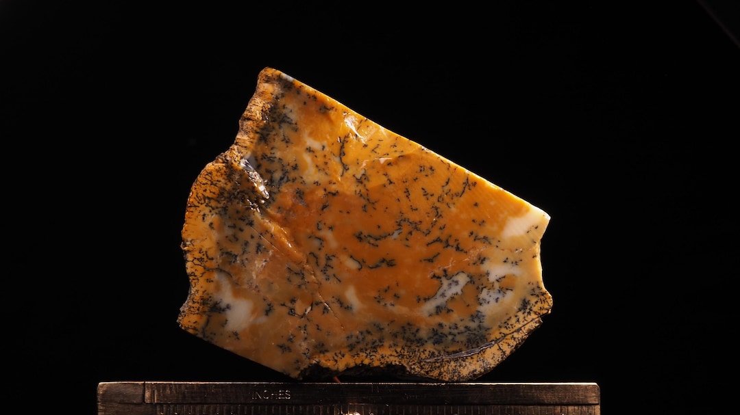 Rare Yellow Dendritic Opal Slab – Exquisite Lapidary Gemstone for ...