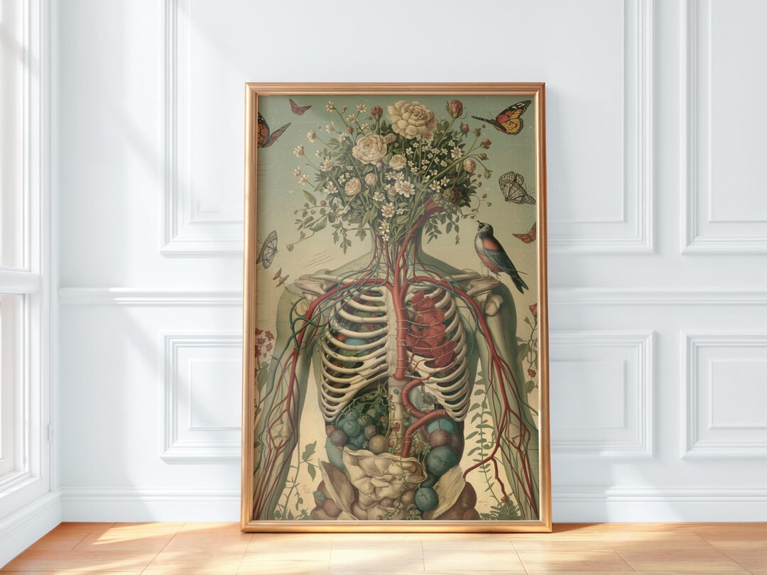 Human Anatomy Poster, Human Body Posters, Anatomy Wall Prints ...