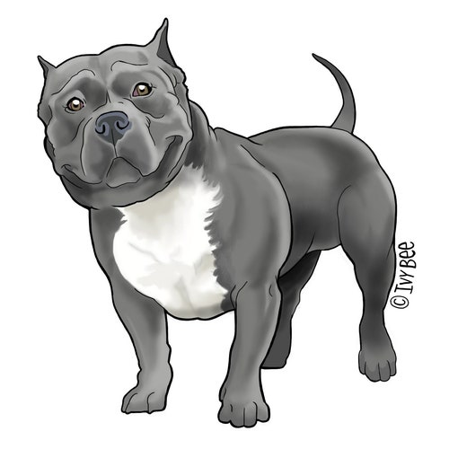 American Bully Vinyl Decal Sticker - Etsy
