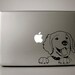 Prince the Golden Retriever Decal Macbook Laptop | Etsy