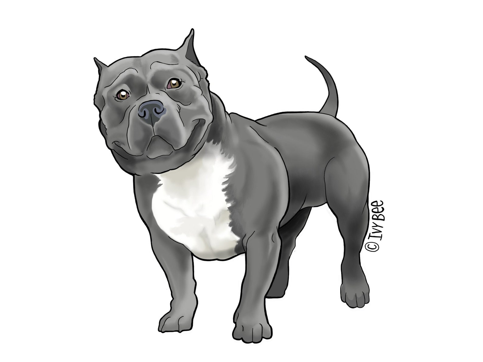 American Bully Vinyl Decal Sticker - Etsy