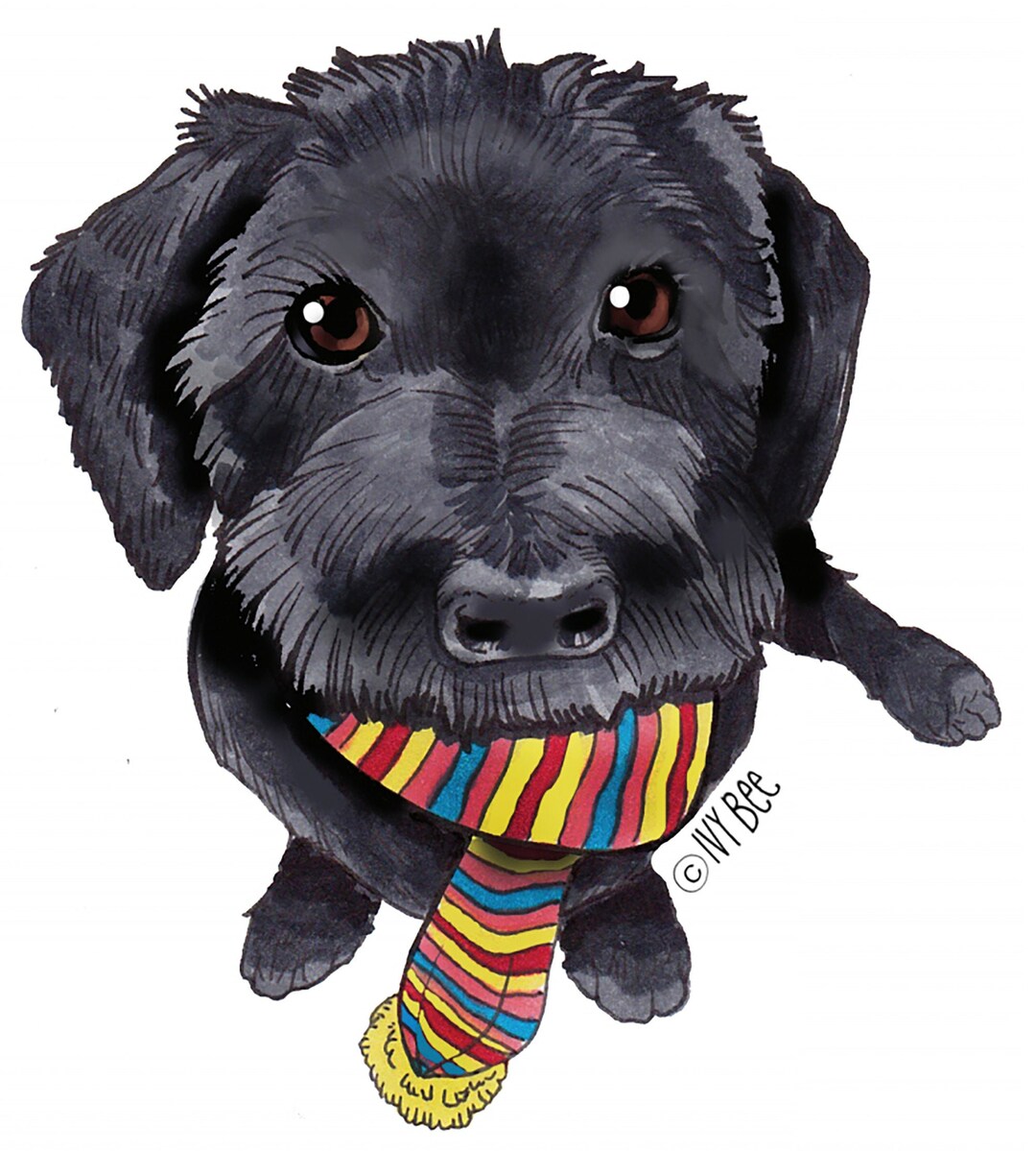 Yorkipoo Vinyl Decal Sticker - Etsy