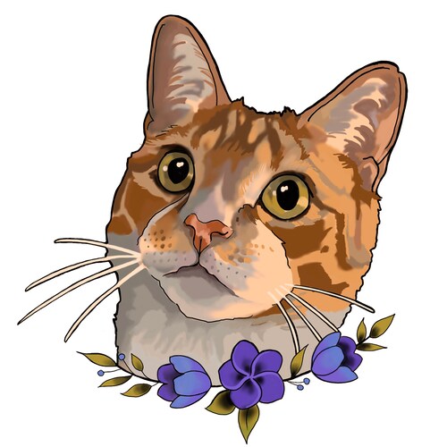 Orange Cat Sticker - Etsy