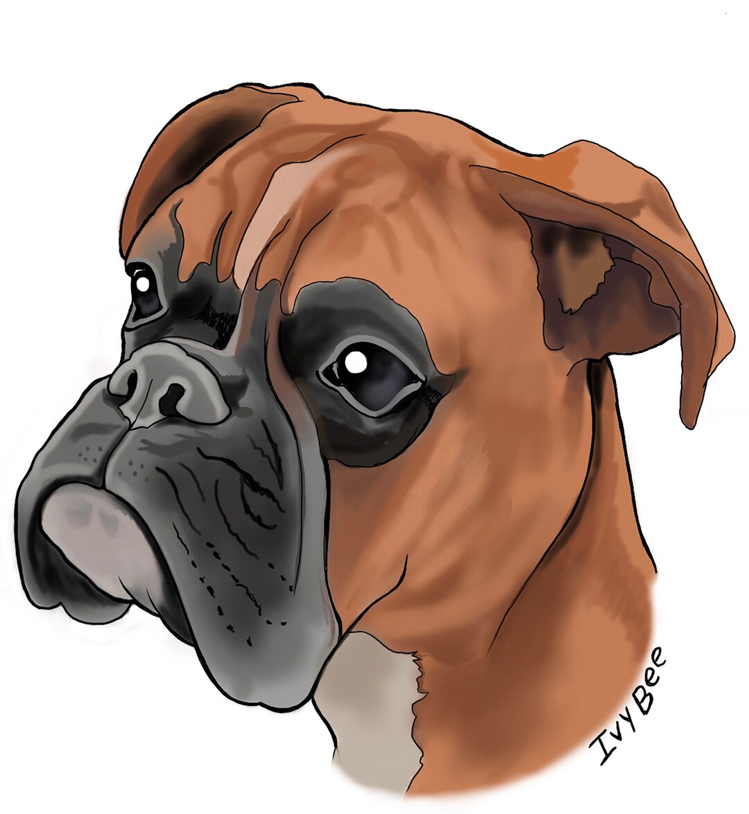 Boxer Vinyl Decal Sticker - Etsy