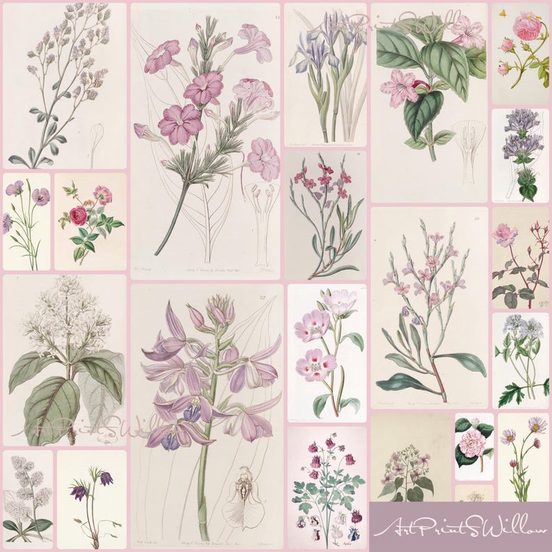 1300 Vintage Floral Art Prints Botanical Flower Printable Nature