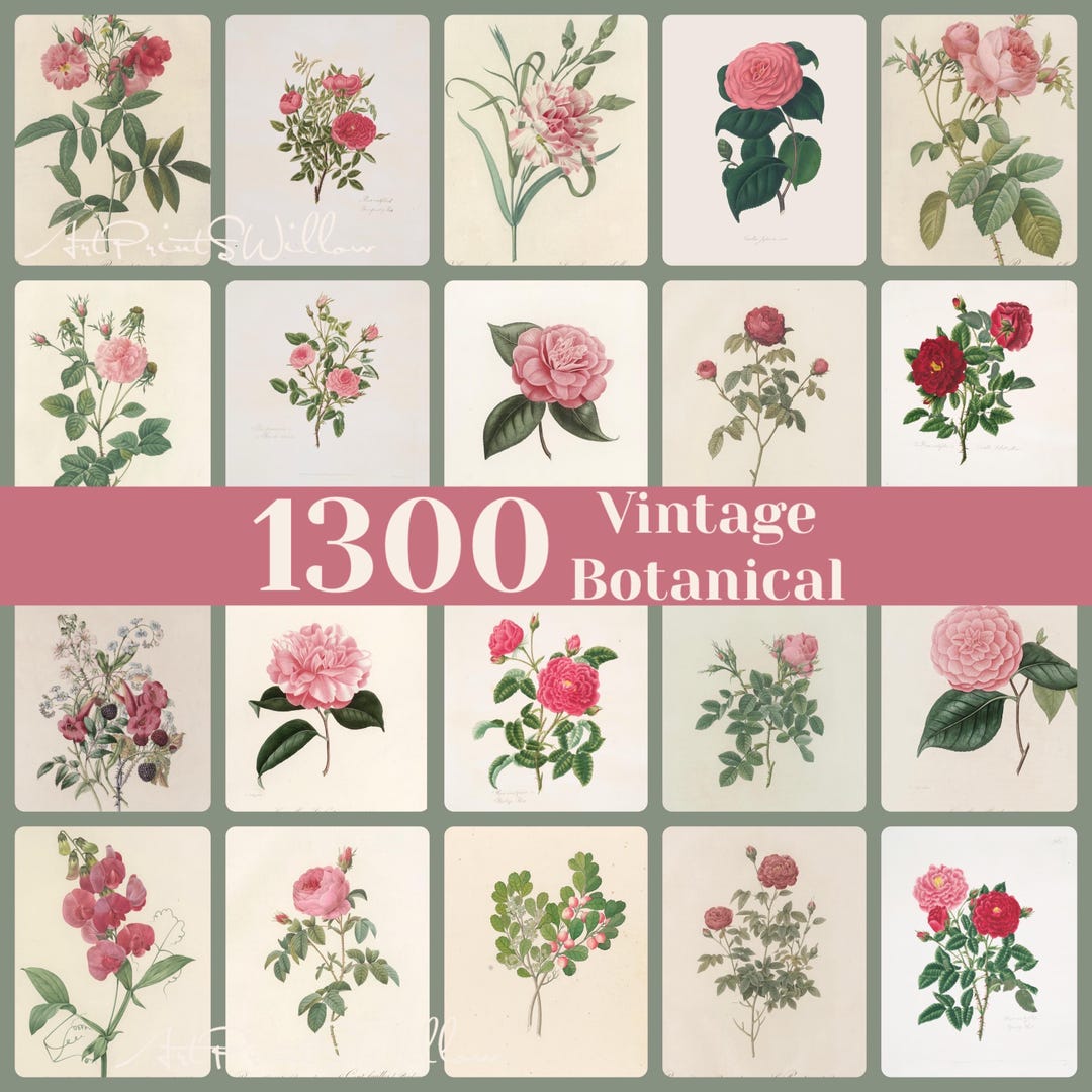 1300 Vintage Floral Art Prints Botanical Flower Printable Nature