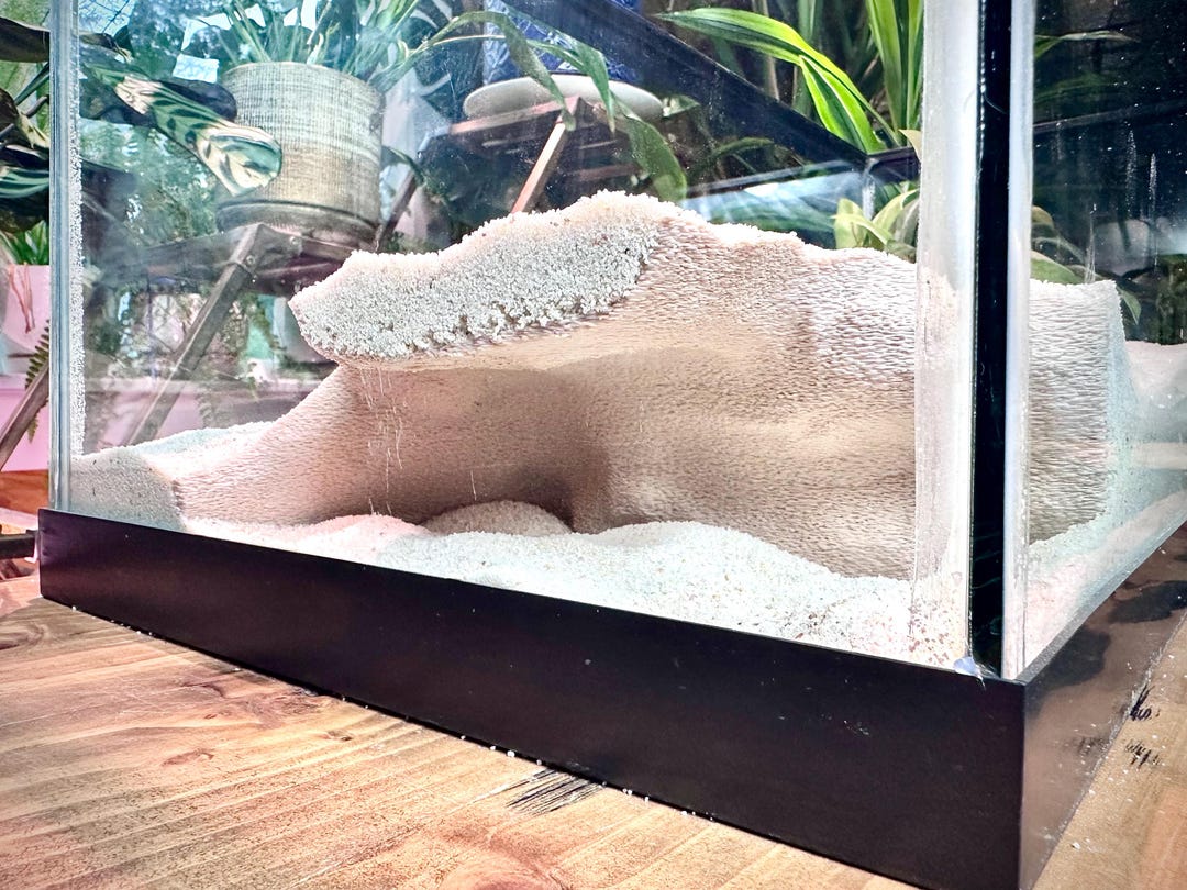 Spacious Corner Aquarium Terrarium Cave – Elevated Hideout for Fish ...