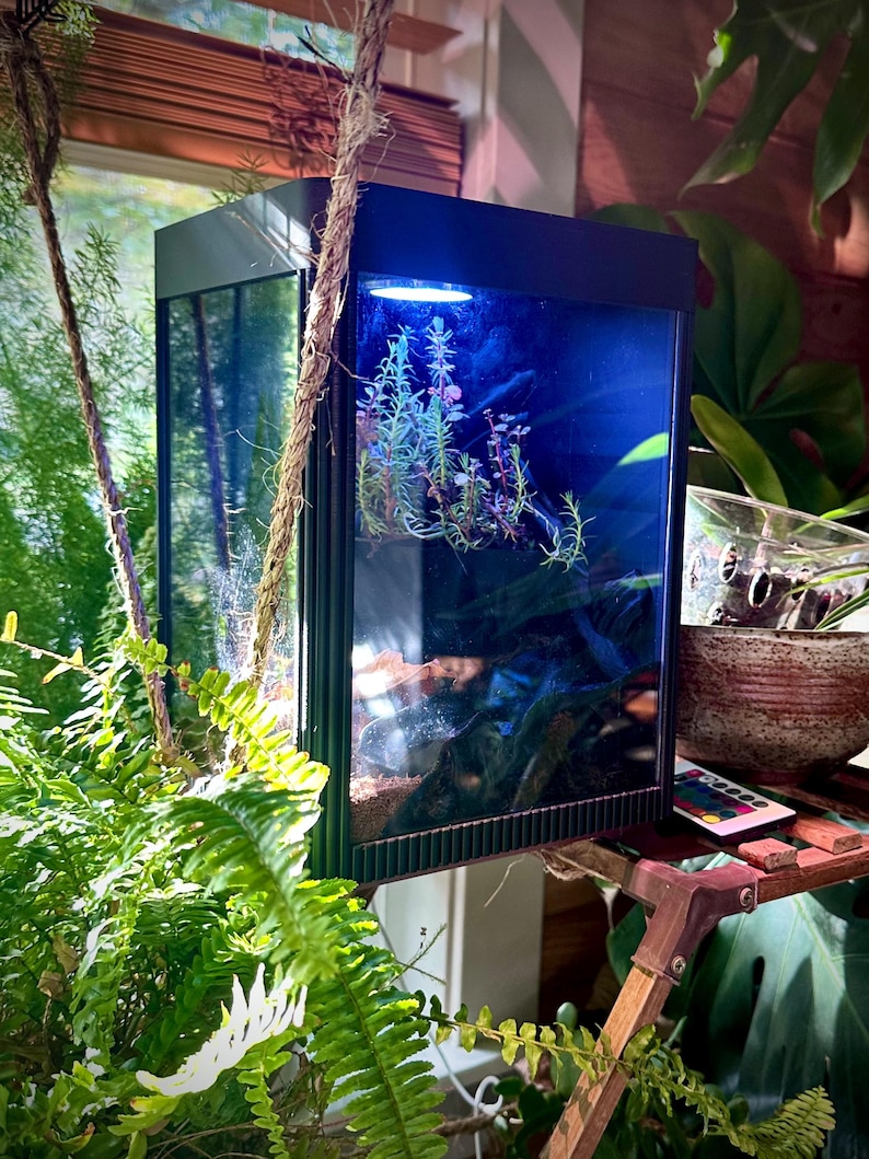 Nano Terrarium Vivarium – All-in-one Micro Habitat With Built-in ...