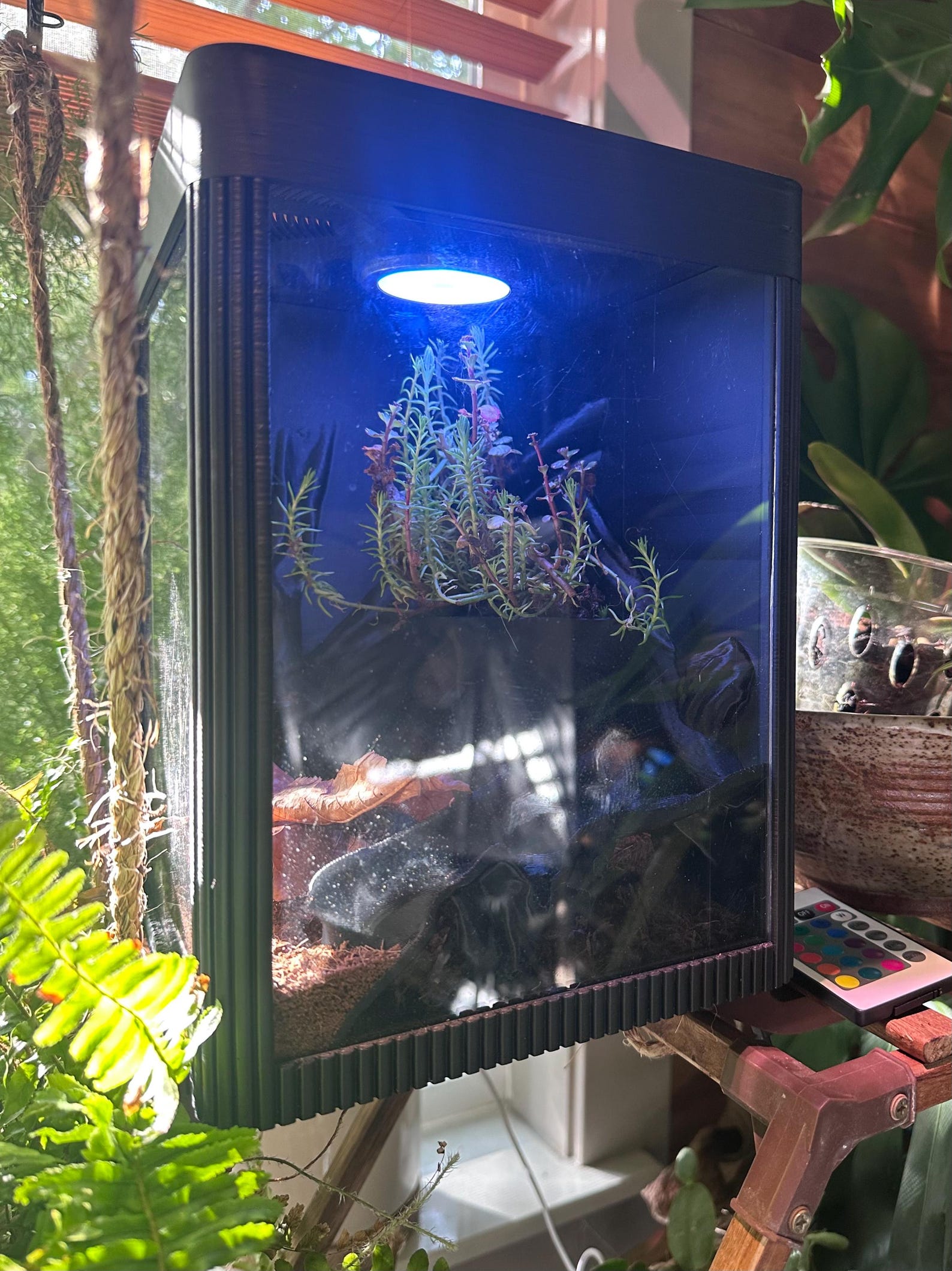 Nano Terrarium Vivarium – All-in-one Micro Habitat With Built-in ...