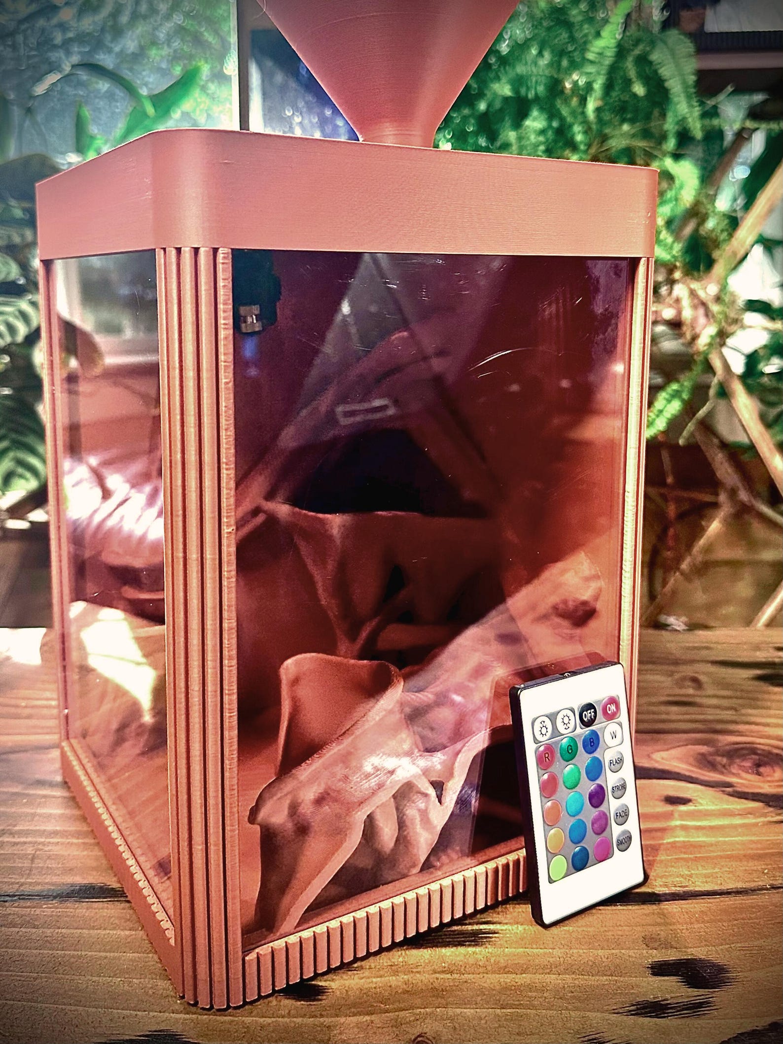 Nano Terrarium Vivarium – All-in-one Micro Habitat With Built-in ...
