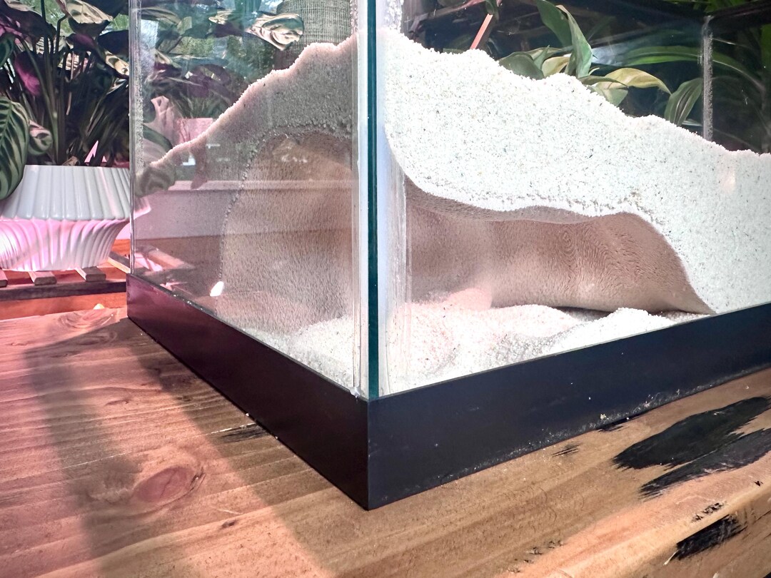 Shellform Corner Cave Hideout – Decorative Shelter for Fish & Reptiles ...