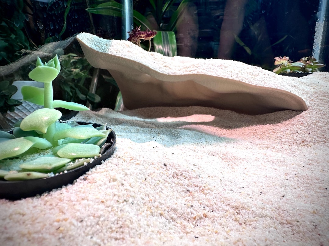 Overhang Hideout – Aquarium & Terrarium Decor - Etsy